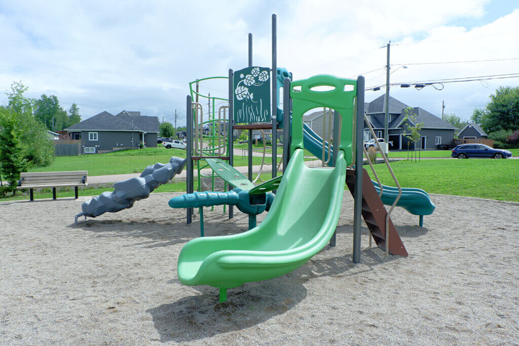 Moncton’s Jonathan Park - Pickle Planet Moncton